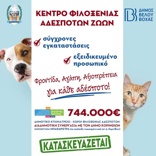 ΔΗΜΟΣ ΒΕΛΟΥ-ΒΟΧΑΣ: Yπάρχει σχέδιο διαχείρισης των αδέσποτων ζώων ...